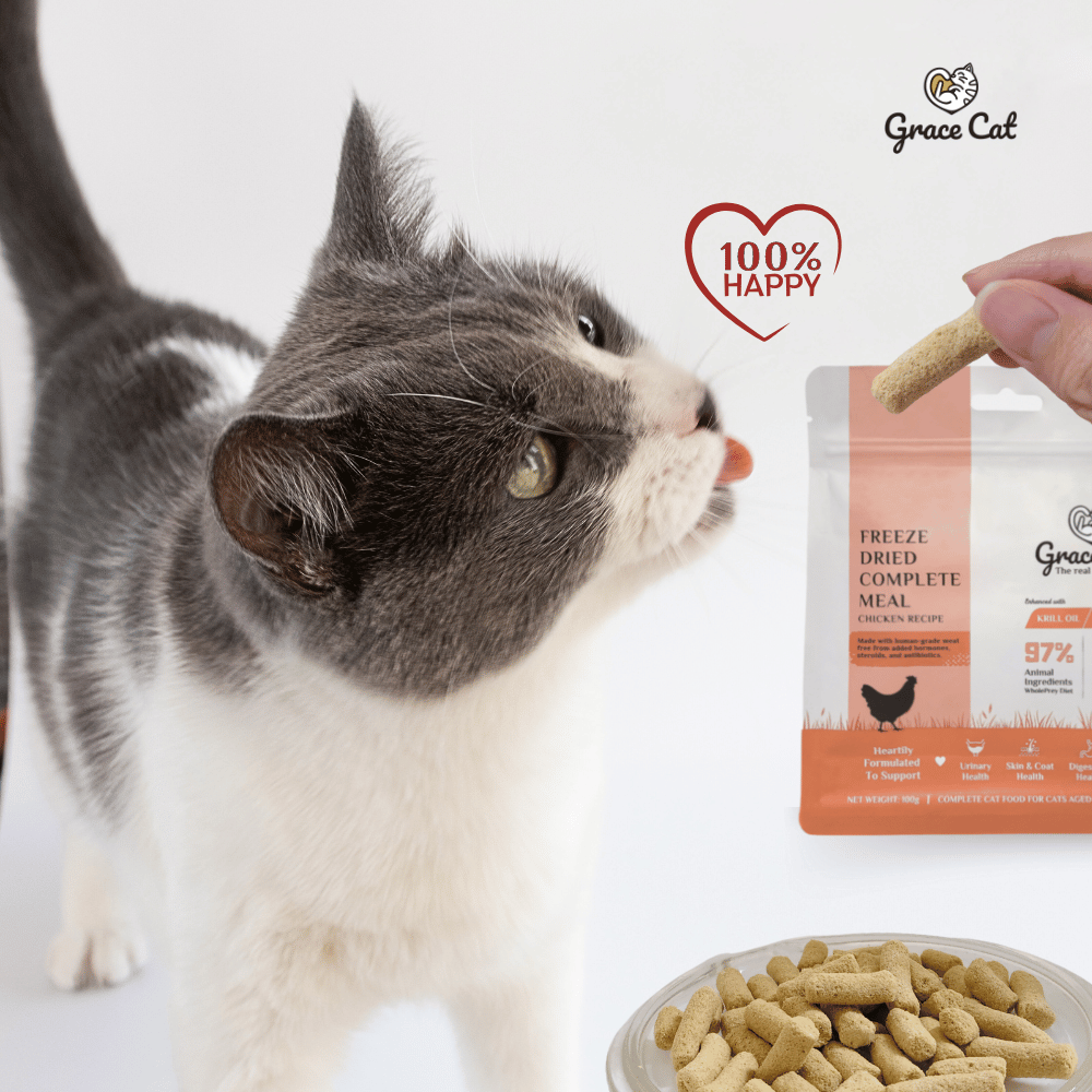 Grace Cat 全价猫粮生骨肉主食冻干 Freeze-Dried Complete Meal